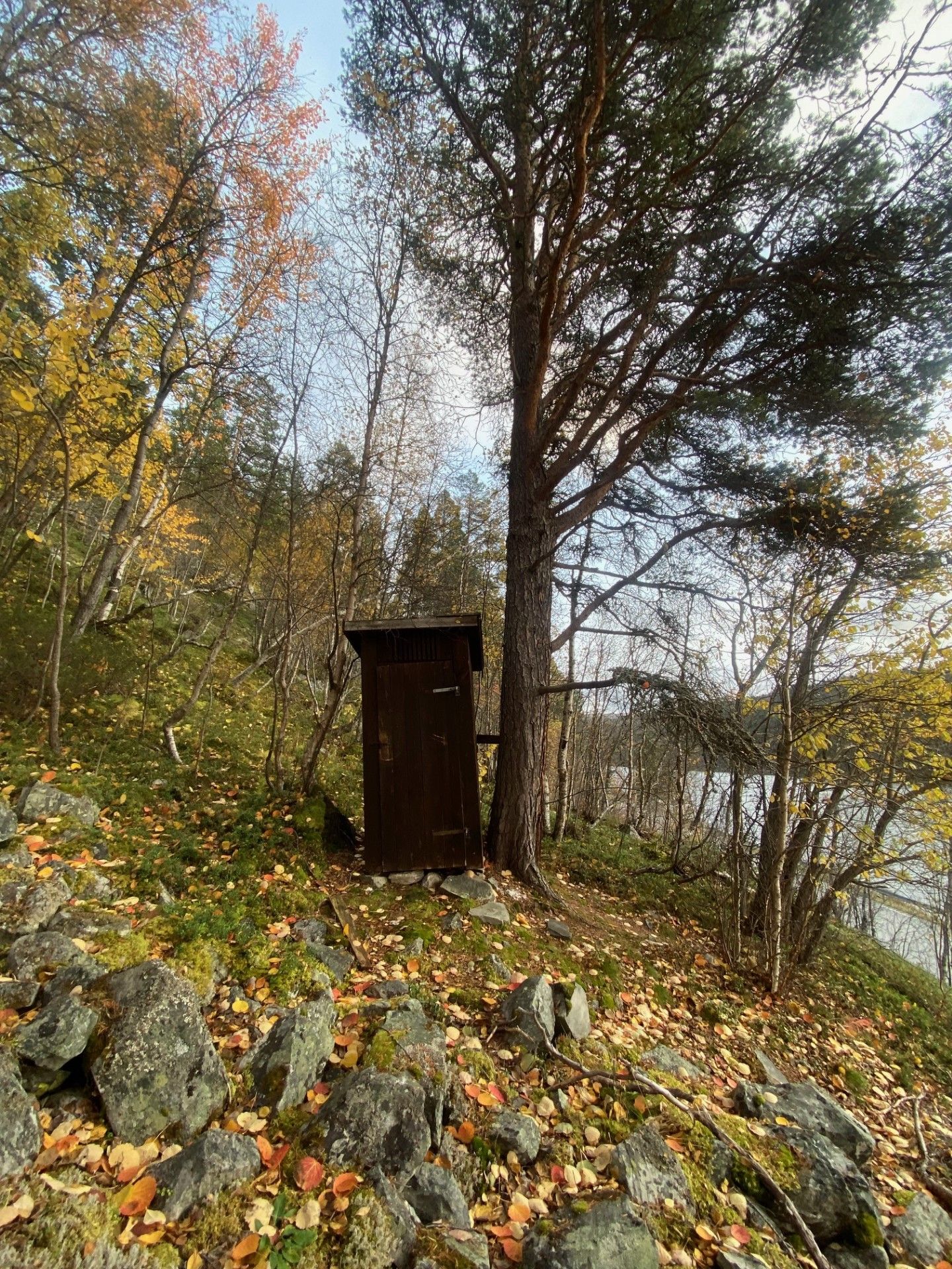 Rare skilt - nye opplysninger